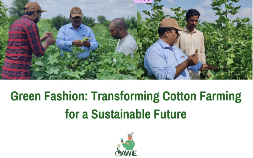 Green Fashion: Transforming Cotton Farming for a Sustainable Future ...