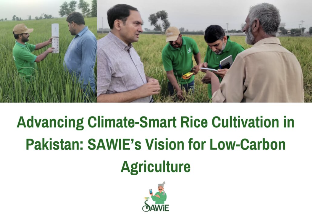 Advancing Climate-Smart Rice Cultivation in Pakistan: SAWIE’s Vision ...
